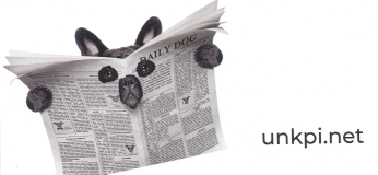 Book! – Uncommon Knowledge